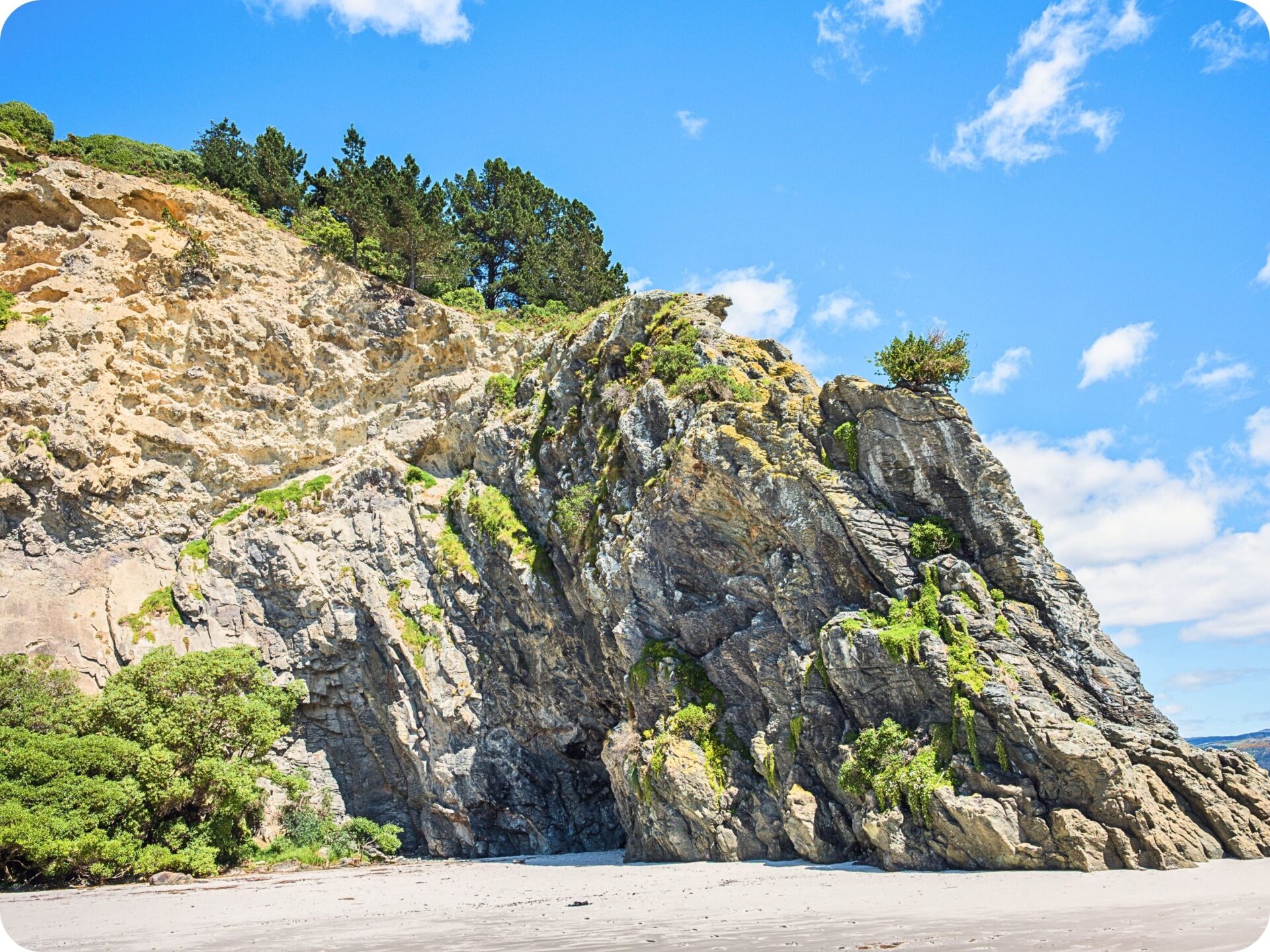 Top 10 Free Things To Do In Dunedin