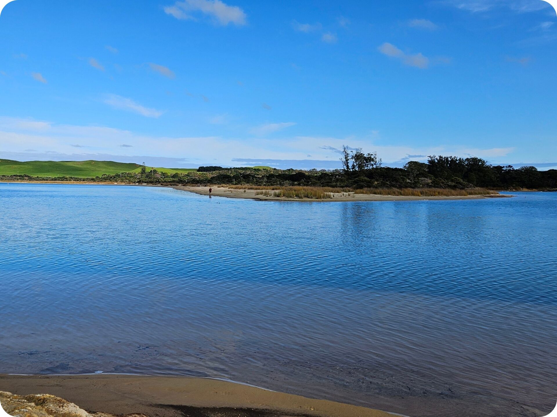 10 Epic Walks In Northland New Zealand