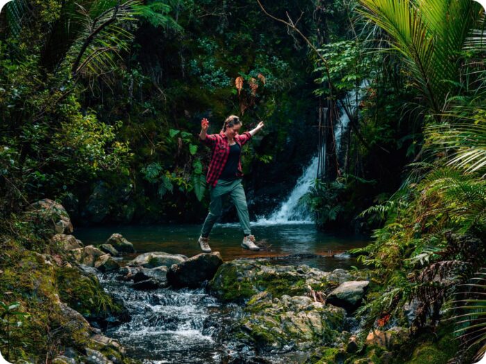 10 Epic Walks In Northland New Zealand