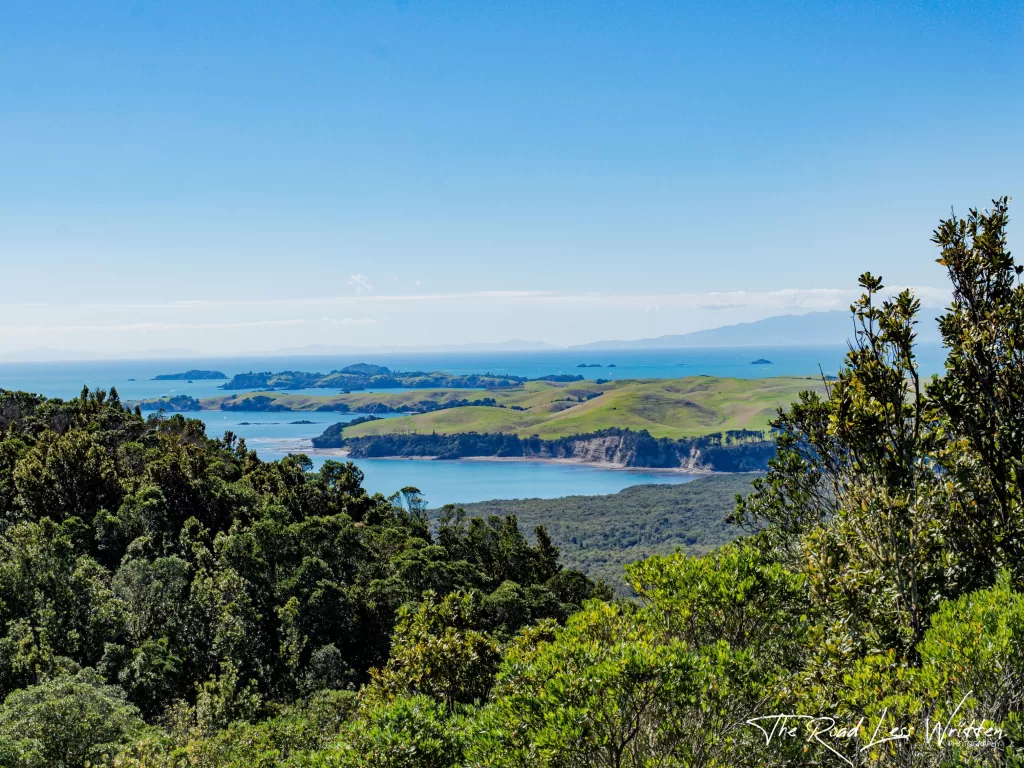 Day Hike – Rangitoto Island Summit Loop