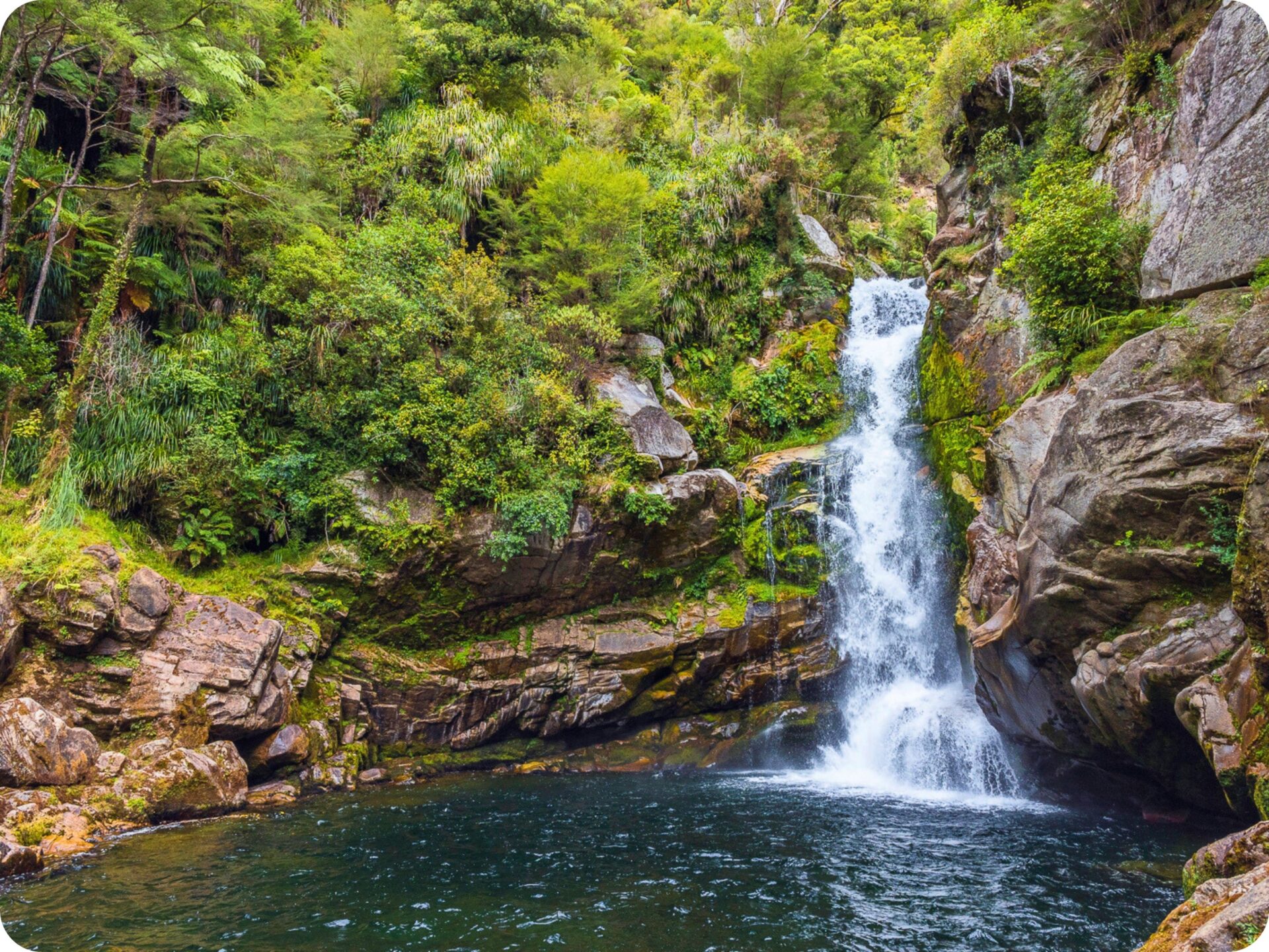 10 Incredible Things to do in Tasman Region of New Zealand