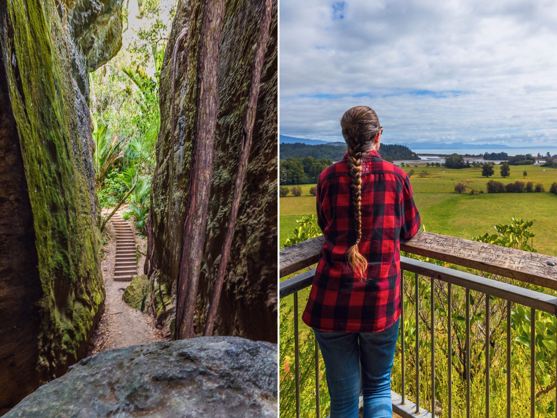 Best Short Walks in Nelson/Tasman Region