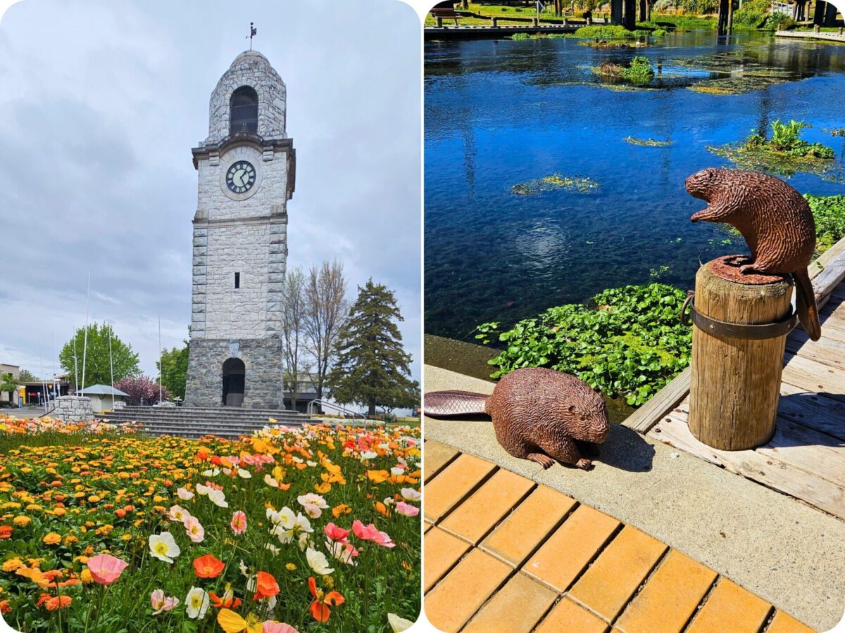 10 Free & Cheap Things To Do In Blenheim • The Road Less Written