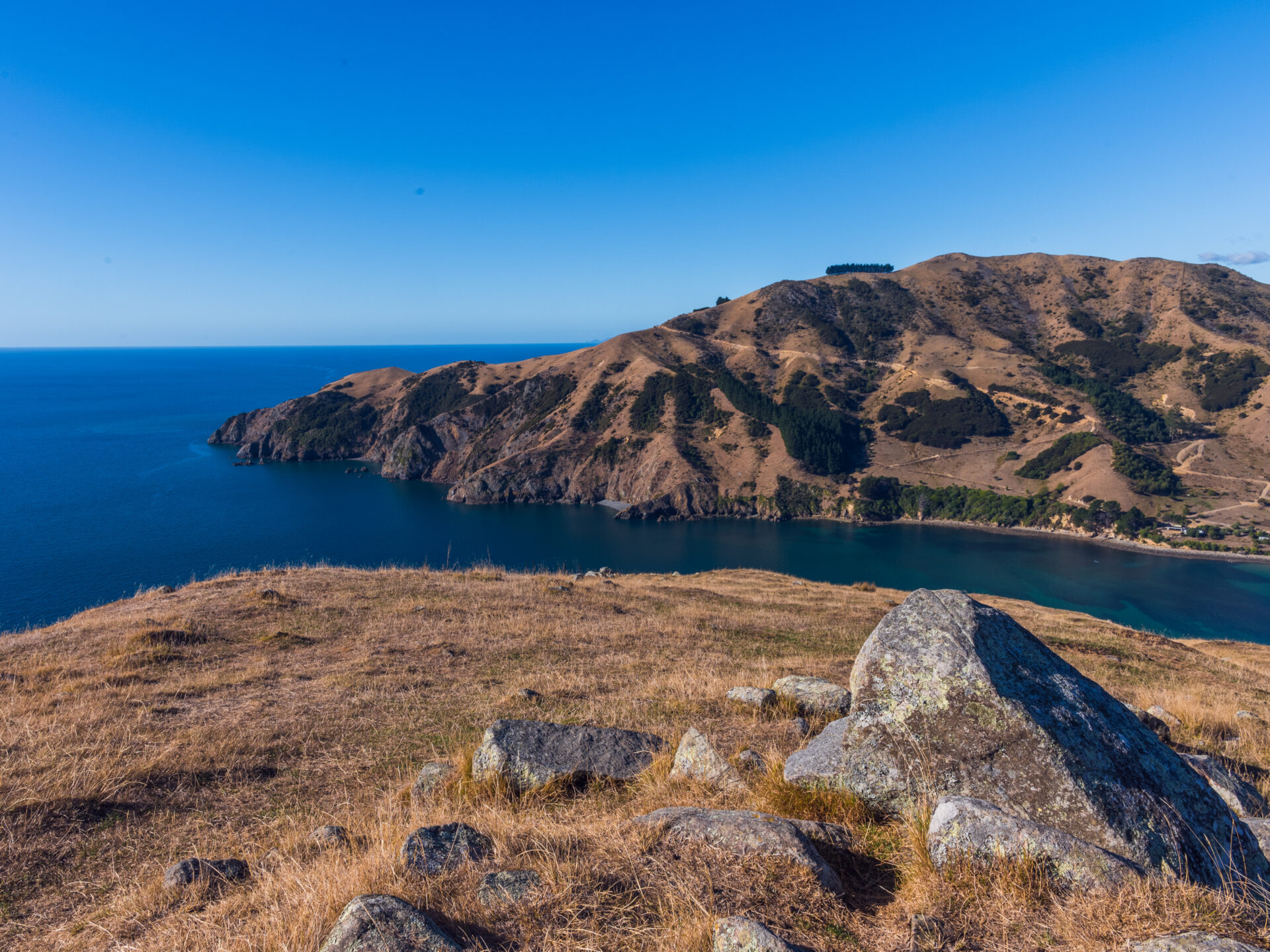 Best Short Walks in Nelson/Tasman Region