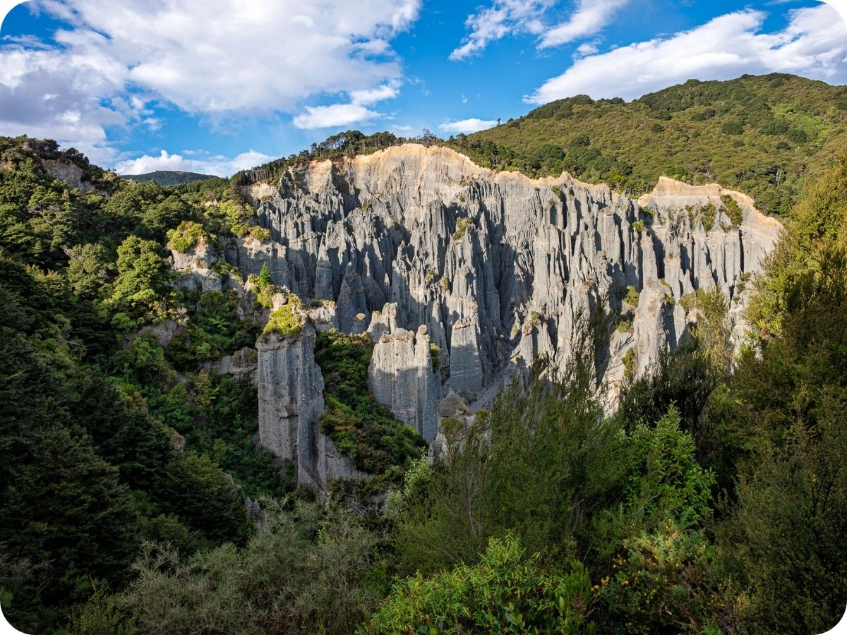 15 Awesome Things To Do In Wellington For Every Traveller